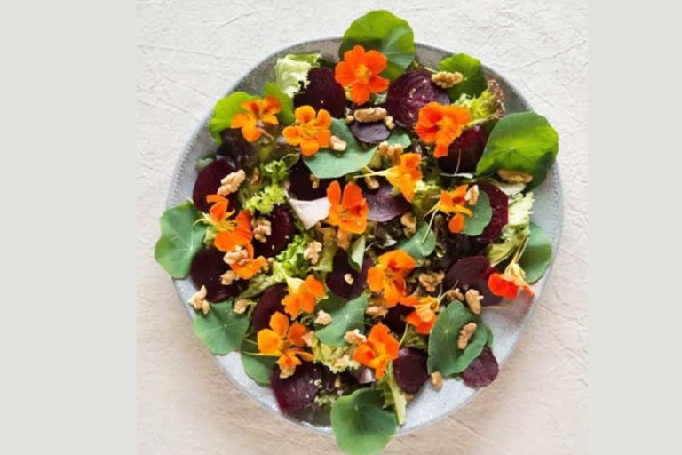 10 Jenis Bunga yang Bisa Dikonsumsi, Ada Geranium Hingga Begonia ...