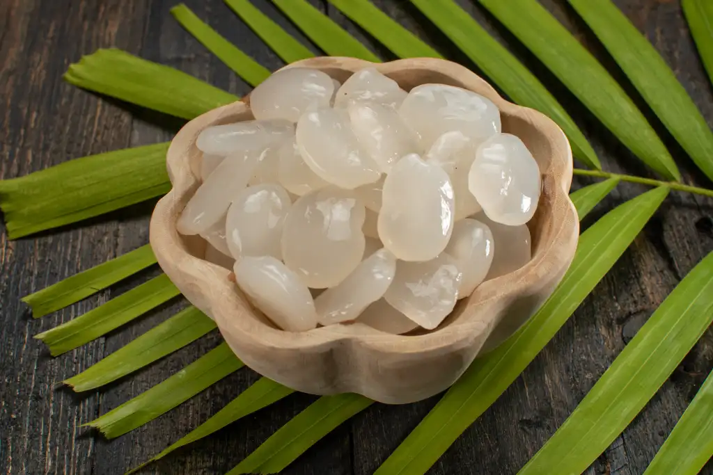 Manfaat Mengkonsumsi Kolang-Kaling untuk Kesehatan Tubuh | TINTAHIJAU.com